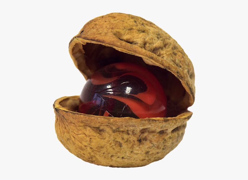 Me In A Nutshell, HD Png Download , Transparent Png Image - PNGitem