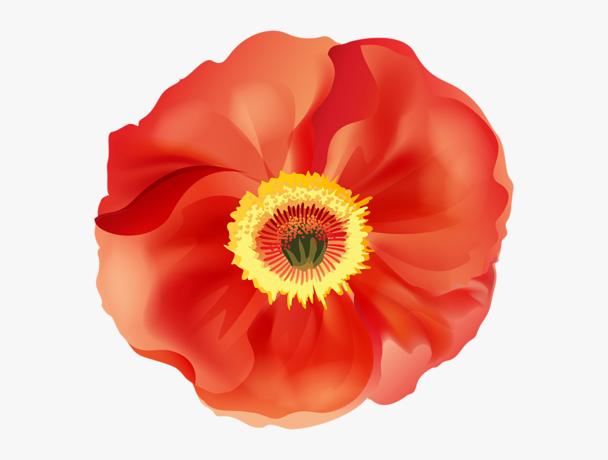 Poppy Flower Clipart Svg Royalty Free Poppy Png Clip - Poppy Flower ...