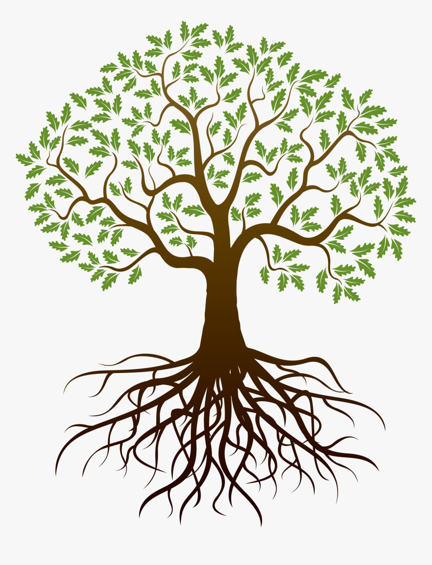 Plant-stem - Tree With Roots Clipart Free, HD Png Download ...