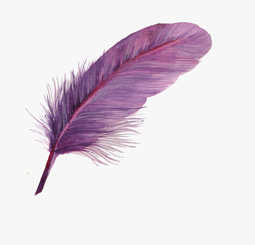 Feather Png Download - Feather Icon, Transparent Png , Transparent Png ...