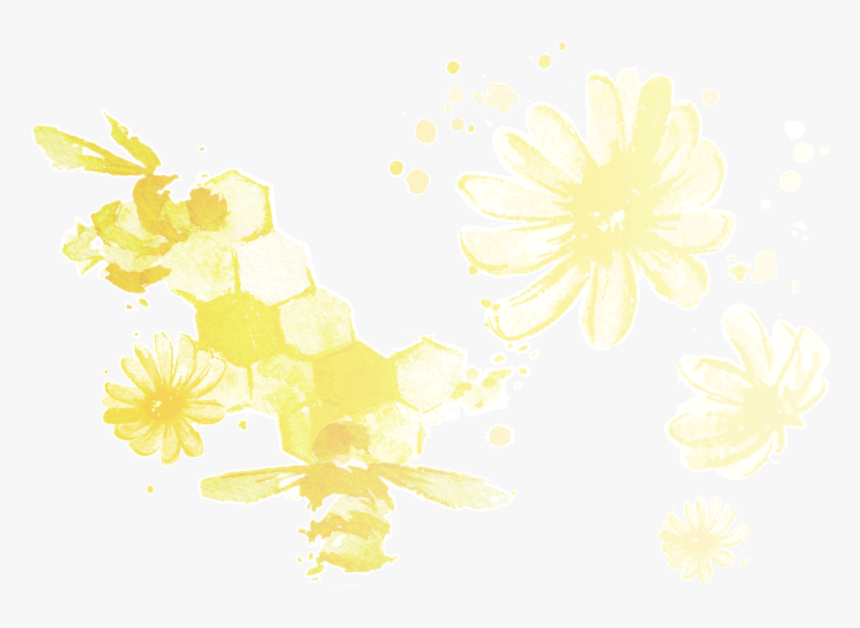 Chrysanths, HD Png Download , Transparent Png Image - PNGitem