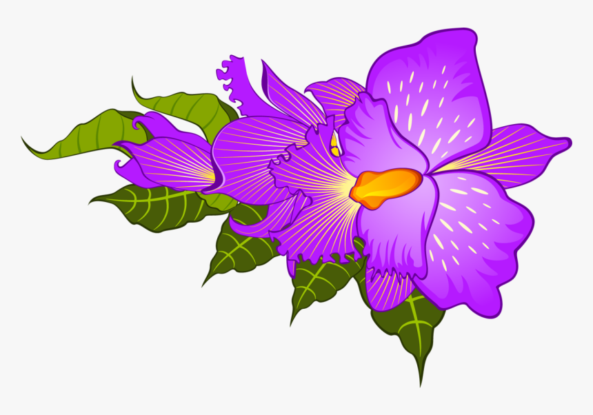 Viola, HD Png Download , Transparent Png Image - PNGitem