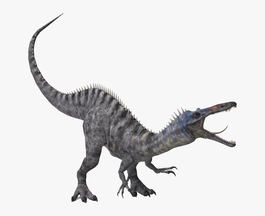 Dinosaur - Fossil - Drawing - Baryonyx Clipart, HD Png Download ...