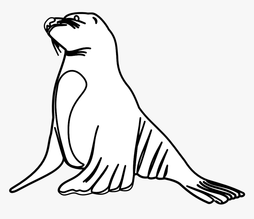 Transparent Sea Lions Clipart - Line Art, HD Png Download , Transparent ...