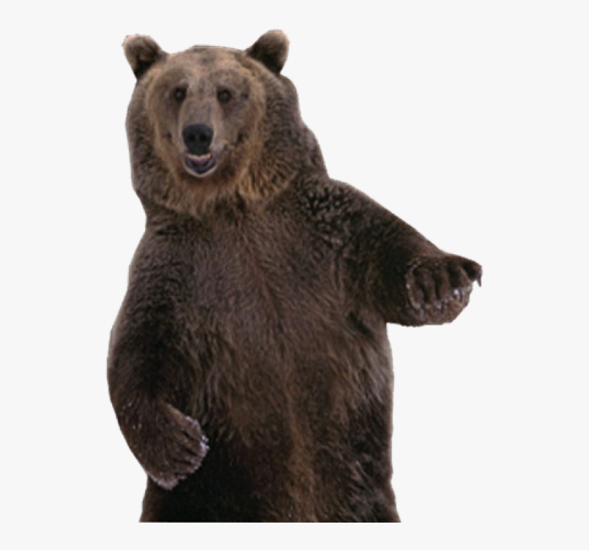 Brown Bear Png Image - Grizzly Bear Standing Png, Transparent Png ...