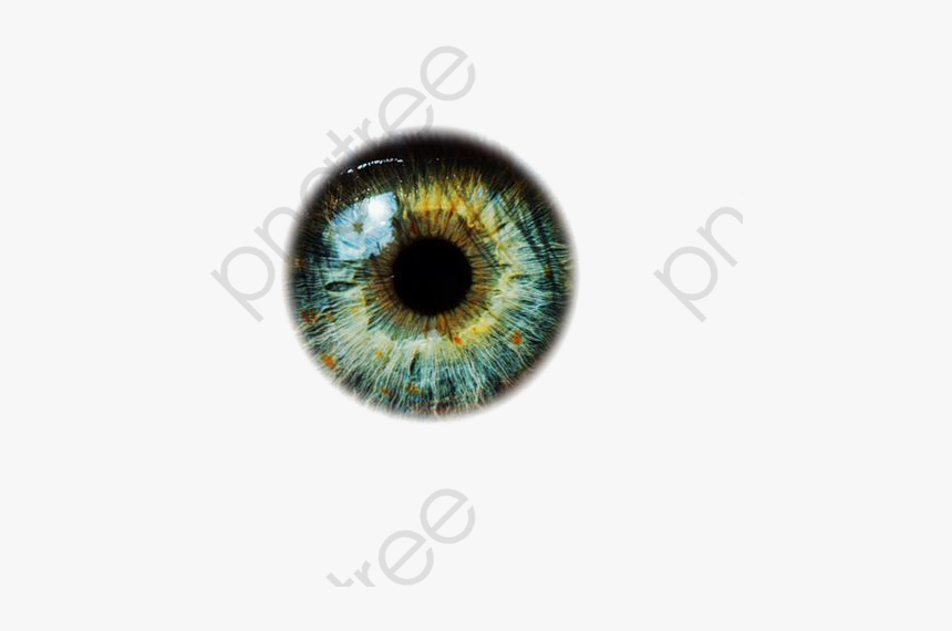 Magic Eyes Clipart Graphic Transparent Stock Eyeballs, - Green Eye Lens ...