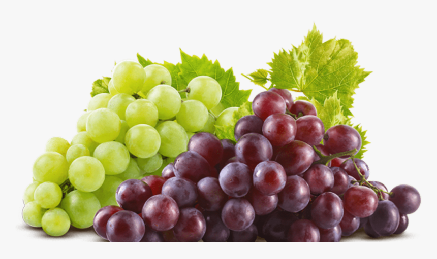 Red Grapes, HD Png Download , Transparent Png Image - PNGitem