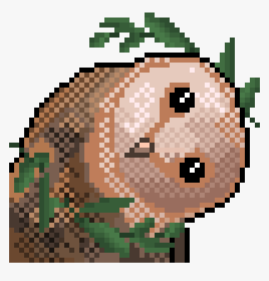 Lotad Pokemon, HD Png Download , Transparent Png Image - PNGitem