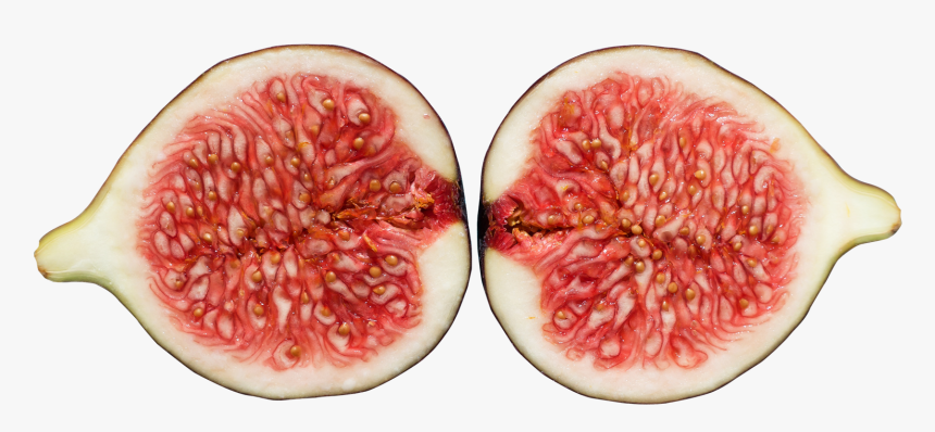 Fig - Portable Network Graphics, HD Png Download , Transparent Png ...