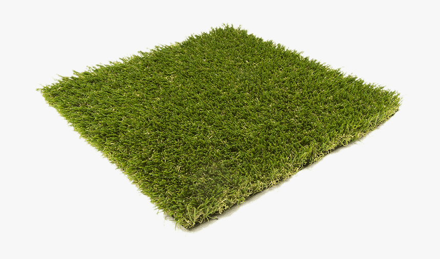 Lawn, HD Png Download , Transparent Png Image - PNGitem