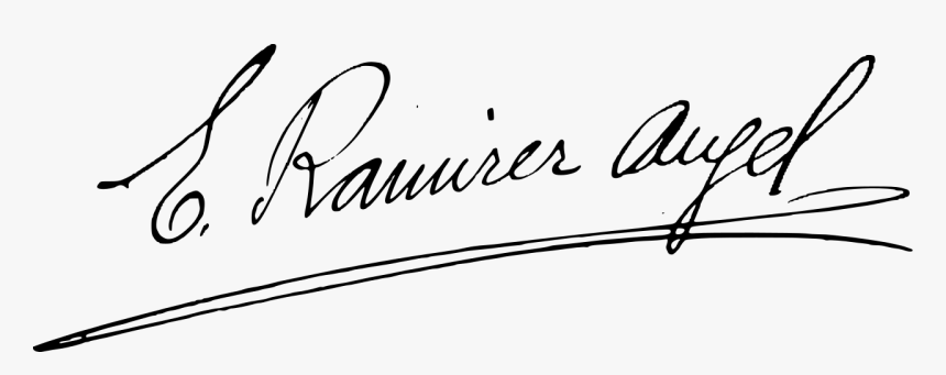 Firma De Ramirez, HD Png Download , Transparent Png Image - PNGitem
