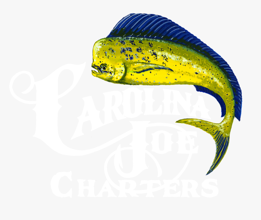 Transparent Fish Jumping Png - Mahi Mahi Jumping Png, Png Download ...