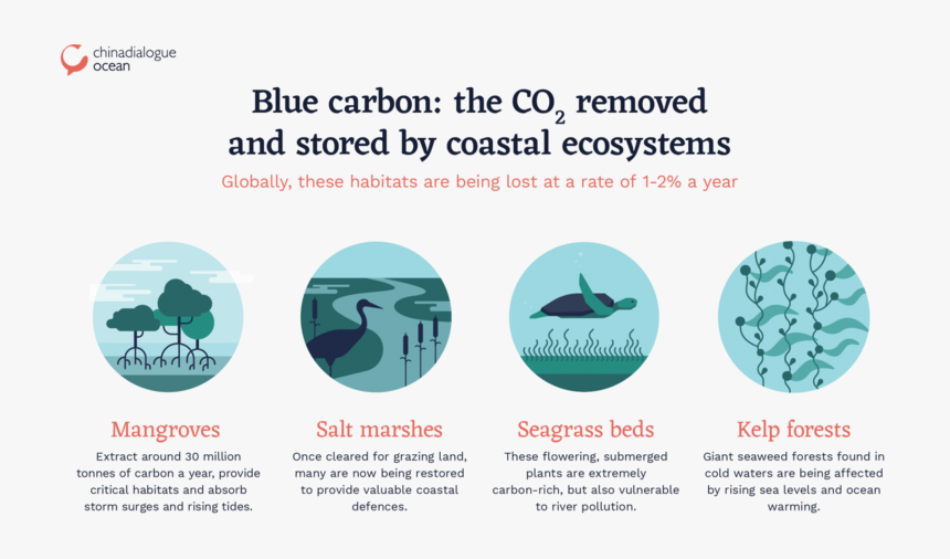 Blue Carbon, HD Png Download , Transparent Png Image - PNGitem