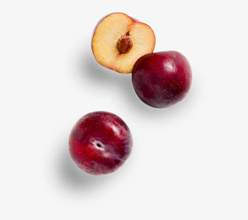Damson, HD Png Download , Transparent Png Image - PNGitem