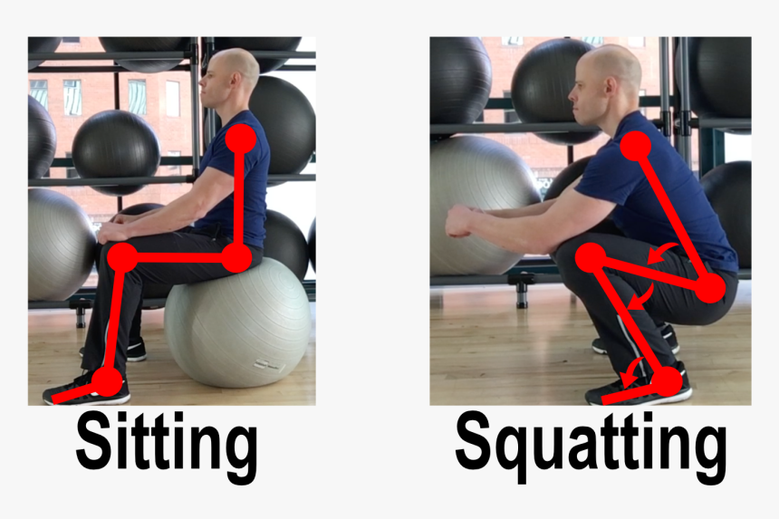 Squatting Vs Sitting Spine, HD Png Download , Transparent Png Image ...