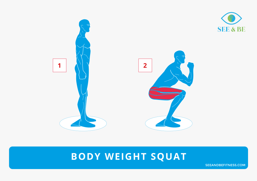 Box Jumps Muscle Groups, HD Png Download , Transparent Png Image - PNGitem