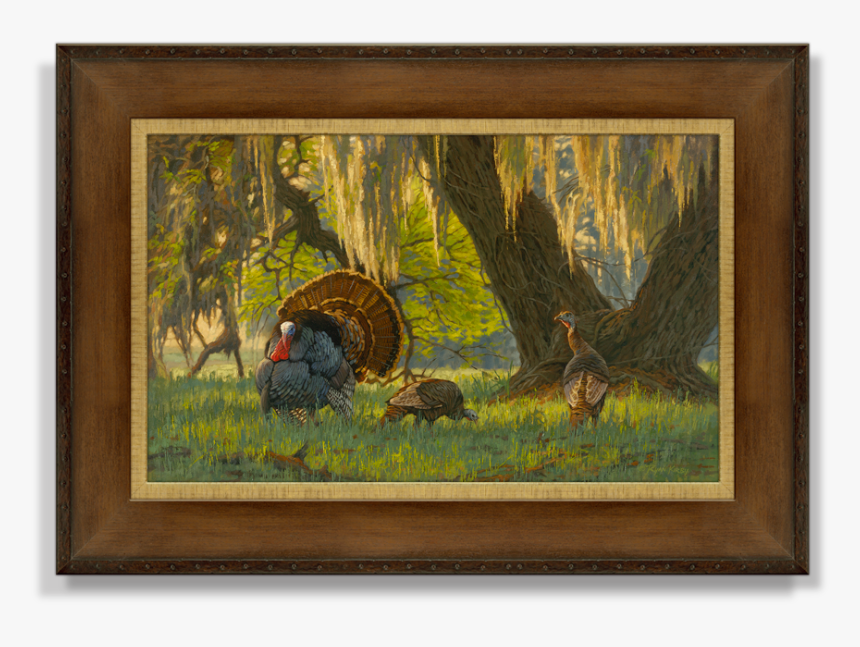 Ryan Kirby Wild Turkey Canvas Print Boss Of The Moss - Wild Turkey, HD ...