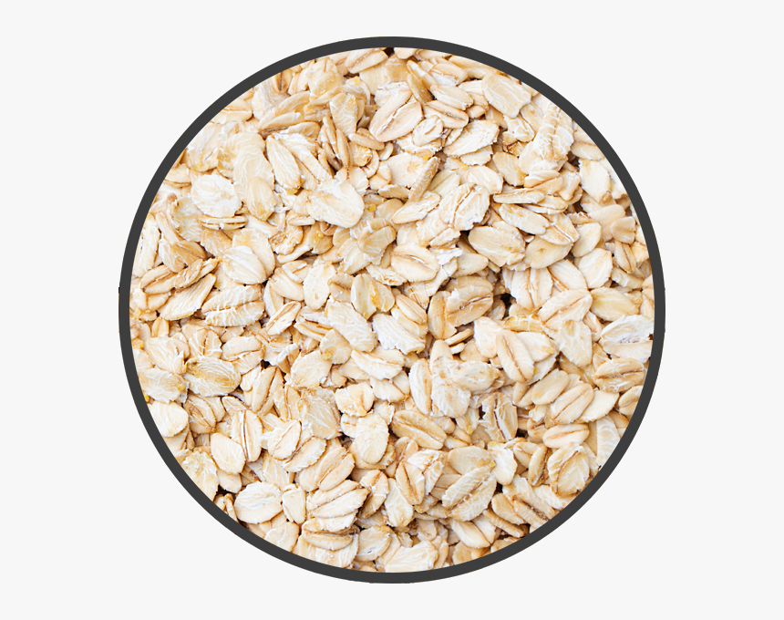 Hafur Maltese, HD Png Download , Transparent Png Image - PNGitem