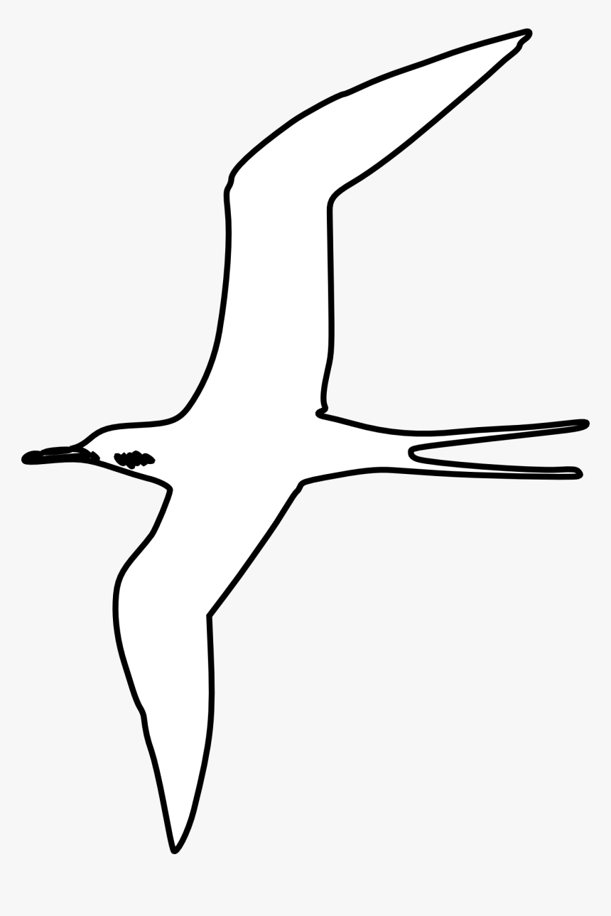 Bird Plain White, HD Png Download , Transparent Png Image - PNGitem