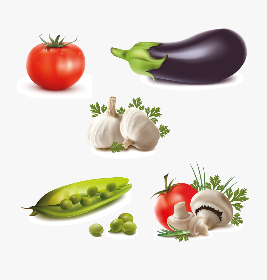 Free Vector Vegetables, HD Png Download , Transparent Png Image - PNGitem