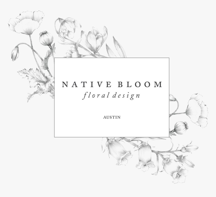 Native Bloom Logo-website - Darkness, HD Png Download , Transparent Png ...