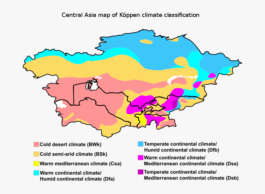Dfb Climate World Map