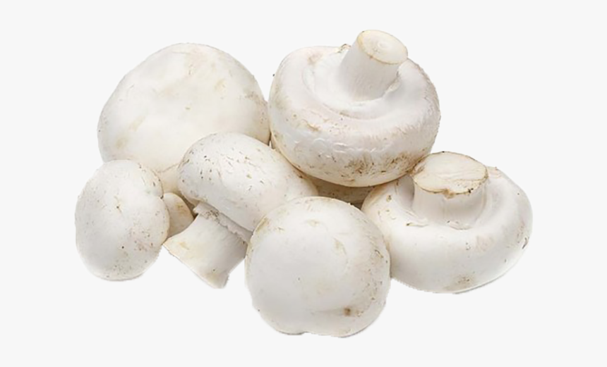 Transparent Button Mushroom Png, Png Download , Transparent Png Image ...