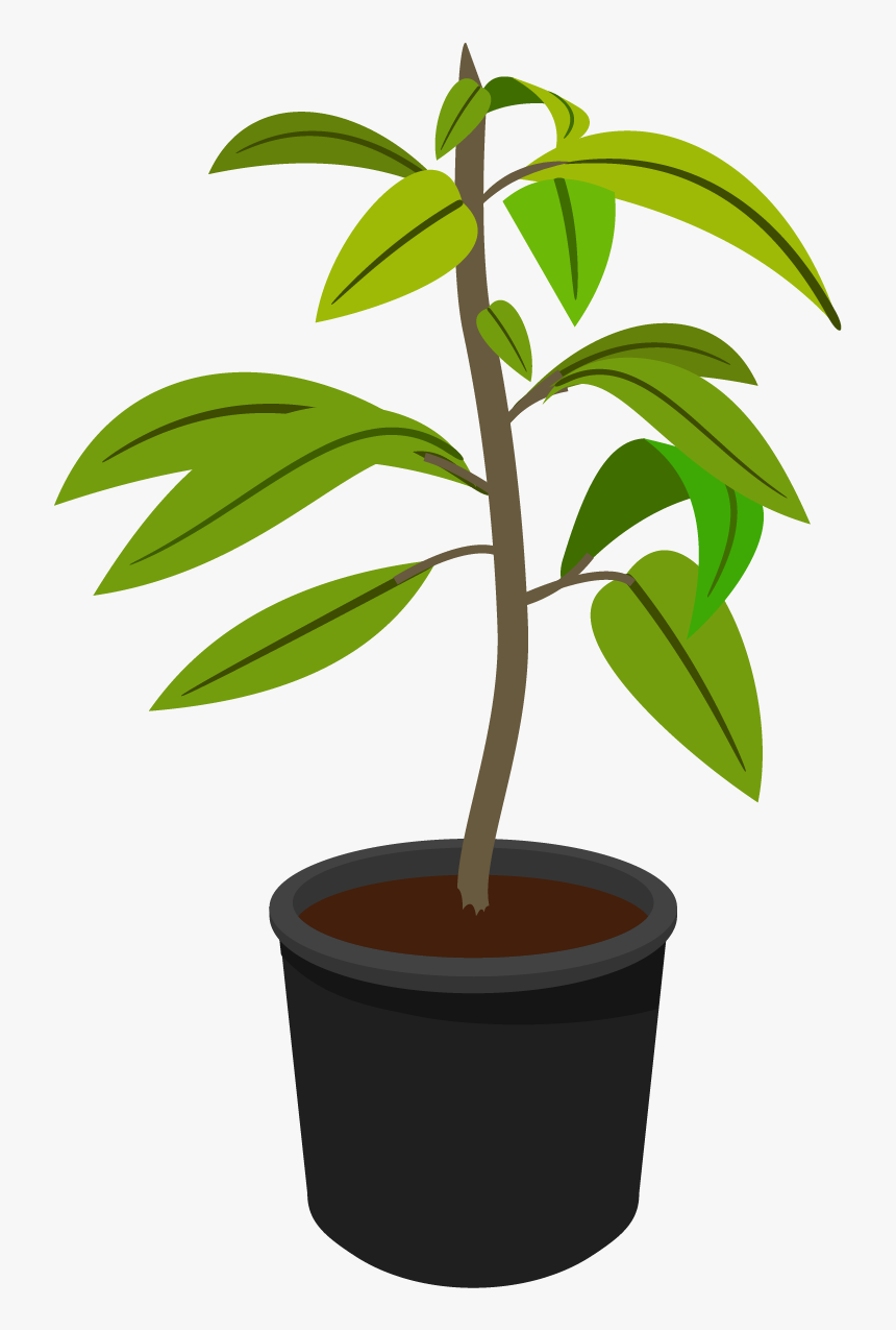 Small Trees Png, Transparent Png , Transparent Png Image - PNGitem