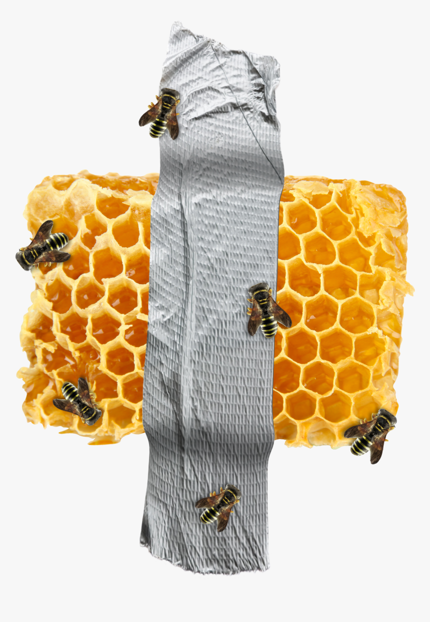 Beehive Pattern Png, Transparent Png , Transparent Png Image - PNGitem