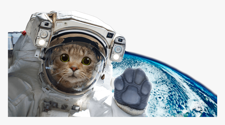Astronaut Cat On Moon, HD Png Download , Transparent Png Image - PNGitem