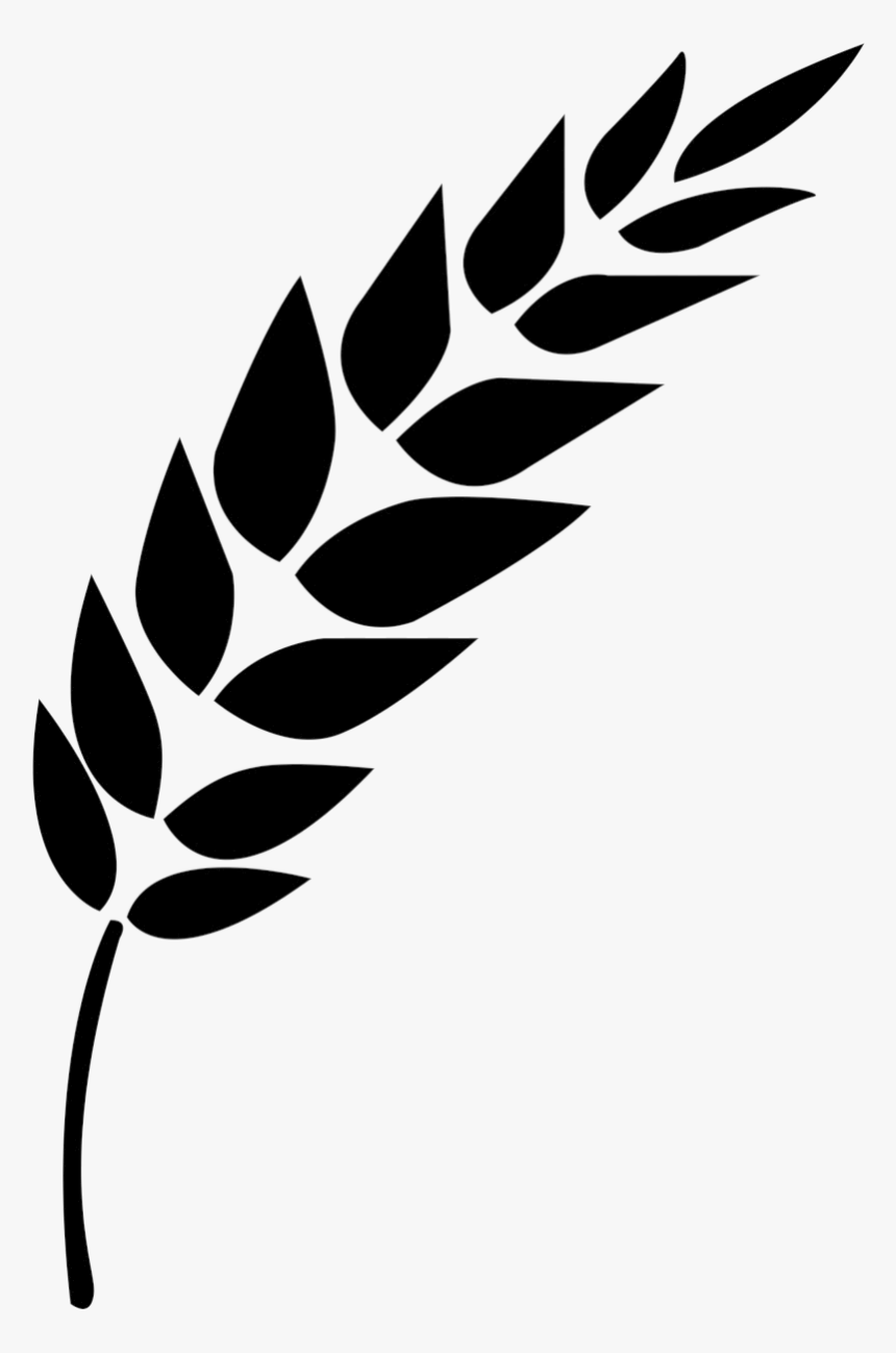 Wheat Vector Black And White Stalk Clipart Transparent - Icon Vector ...