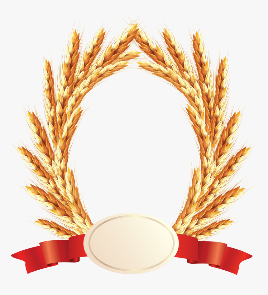 Wheat Png Image - Sundar Bhog Atta, Transparent Png , Transparent Png ...