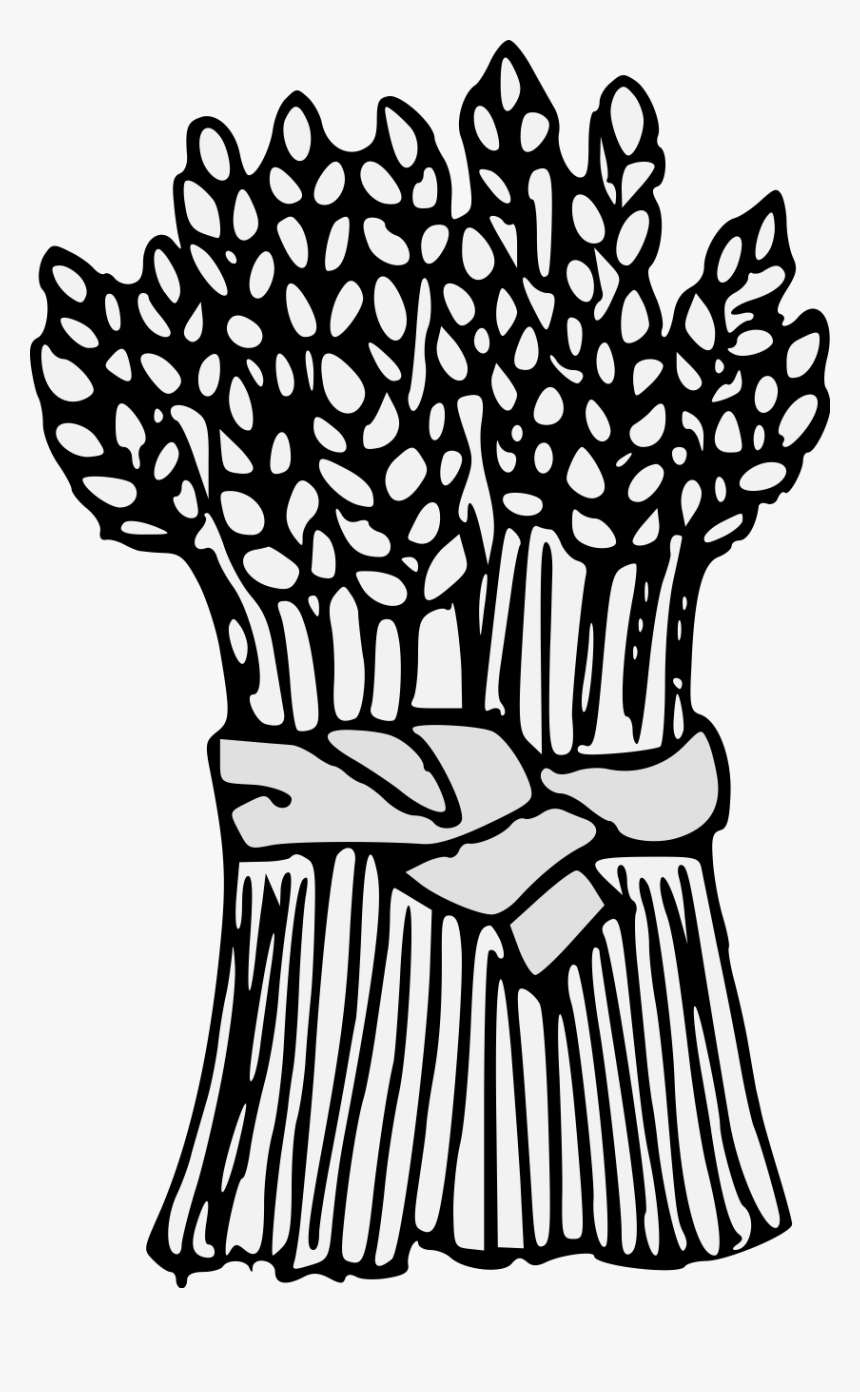 Wheat, HD Png Download , Transparent Png Image - PNGitem