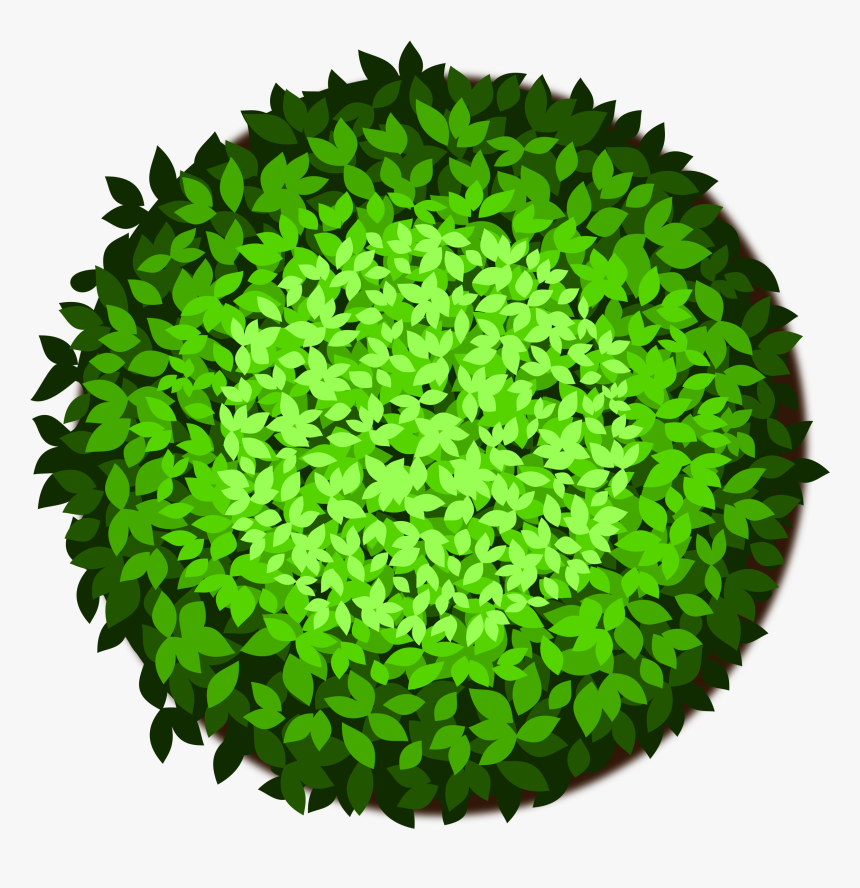 Tree Bonsai Computer Icons Clip Art - Tree Top View Clipart Png ...