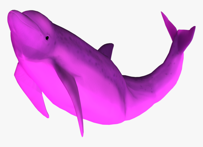 3d Dolphin Png - Pink Dolphin Png, Transparent Png , Transparent Png ...