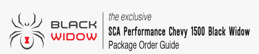 Black Widow Logo Sca - Rajshree Sugars, HD Png Download , Transparent ...