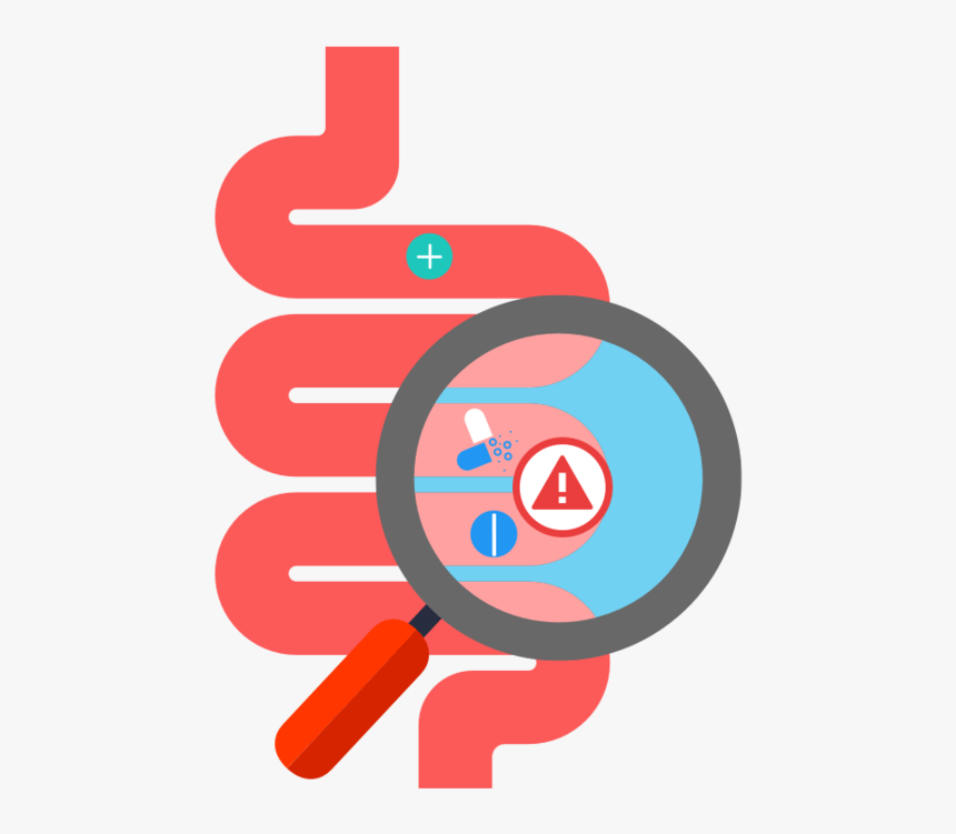 Zofran Drug Interactions Fda - Drug Interaction Clip Art, HD Png ...