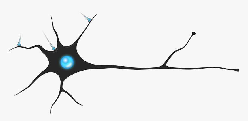 Thumb Image - Neuron Png, Transparent Png , Transparent Png Image - PNGitem