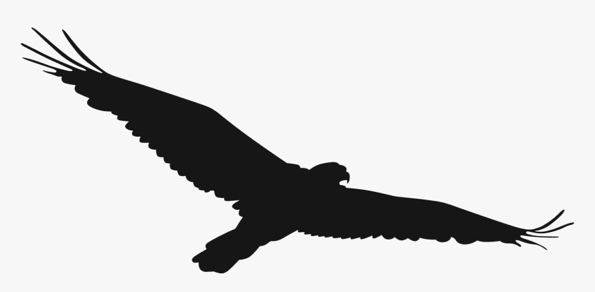 Flying Hawk Clipart, HD Png Download , Transparent Png Image - PNGitem