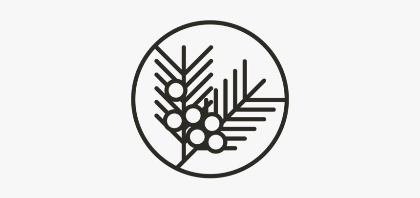 Icons 2000px Withpadding Gin - Circle, HD Png Download , Transparent ...