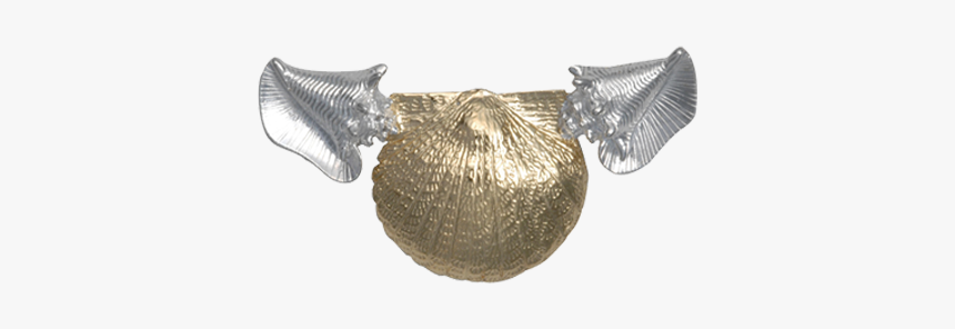 Conch Shell Png, Transparent Png , Transparent Png Image - PNGitem