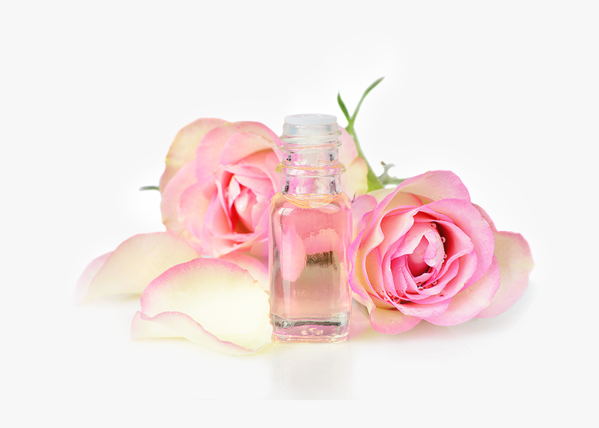Essential Oils Company - Rose Oil Png, Transparent Png , Transparent ...