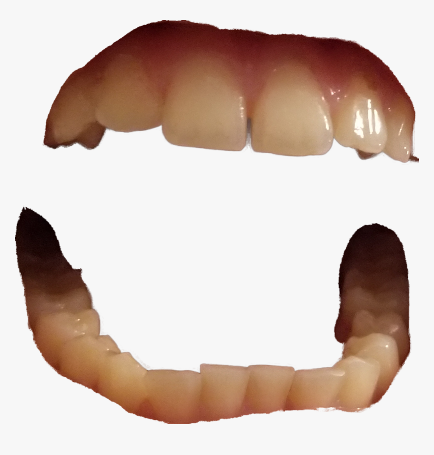 Image - Tooth, HD Png Download , Transparent Png Image - PNGitem