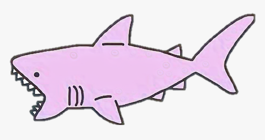 Pink Shark, HD Png Download , Transparent Png Image - PNGitem