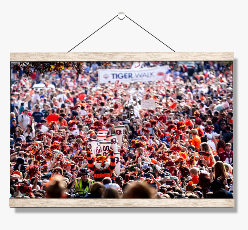Tiger Walk - Tiger Walk Club, HD Png Download , Transparent Png Image ...