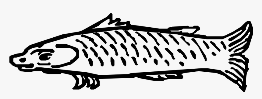 Medieval Fish Png, Transparent Png , Transparent Png Image - PNGitem
