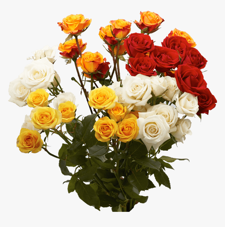 Birthday Spray Roses Flowers - Garden Roses, HD Png Download ...