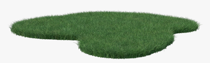 Grass Patch Png, Transparent Png , Transparent Png Image - PNGitem
