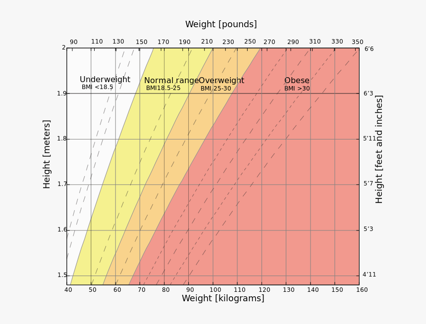 Weight Height Chart, HD Png Download , Transparent Png Image - PNGitem