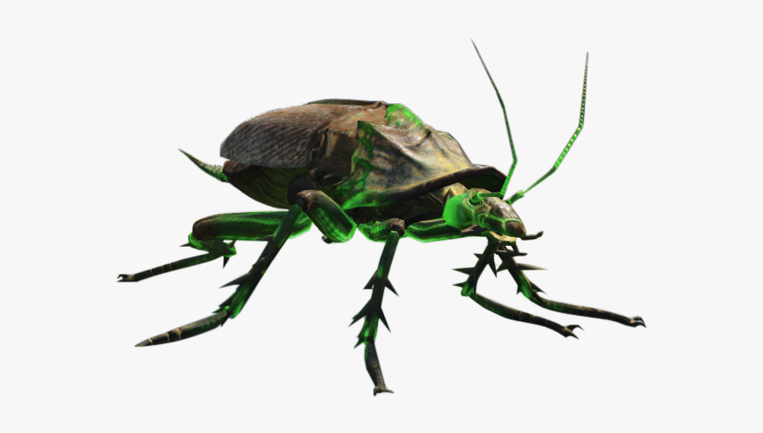 Nukapedia The Vault - Fallout 4 Glowing Radroach, HD Png Download ...